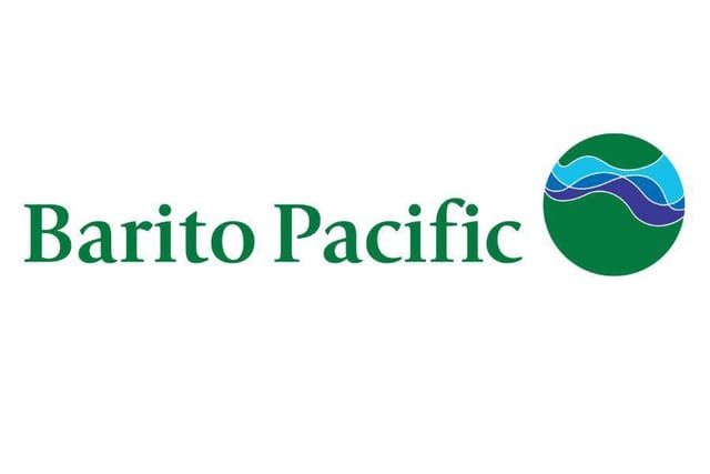 Barito Pasific (BRPT) Kantongi Pinjaman Jumbo Dari BRI | FORTUNE Indonesia
