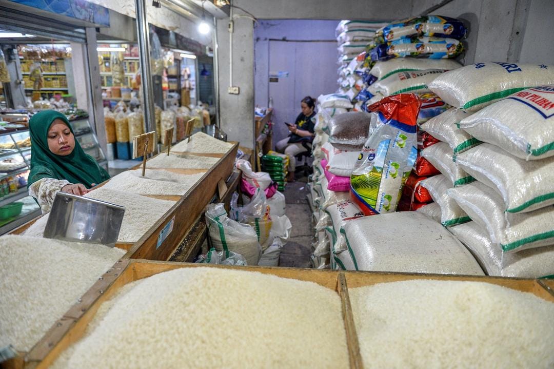 7 Jenis Beras yang Ada di Indonesia, Paling Diminati! | FORTUNE Indonesia