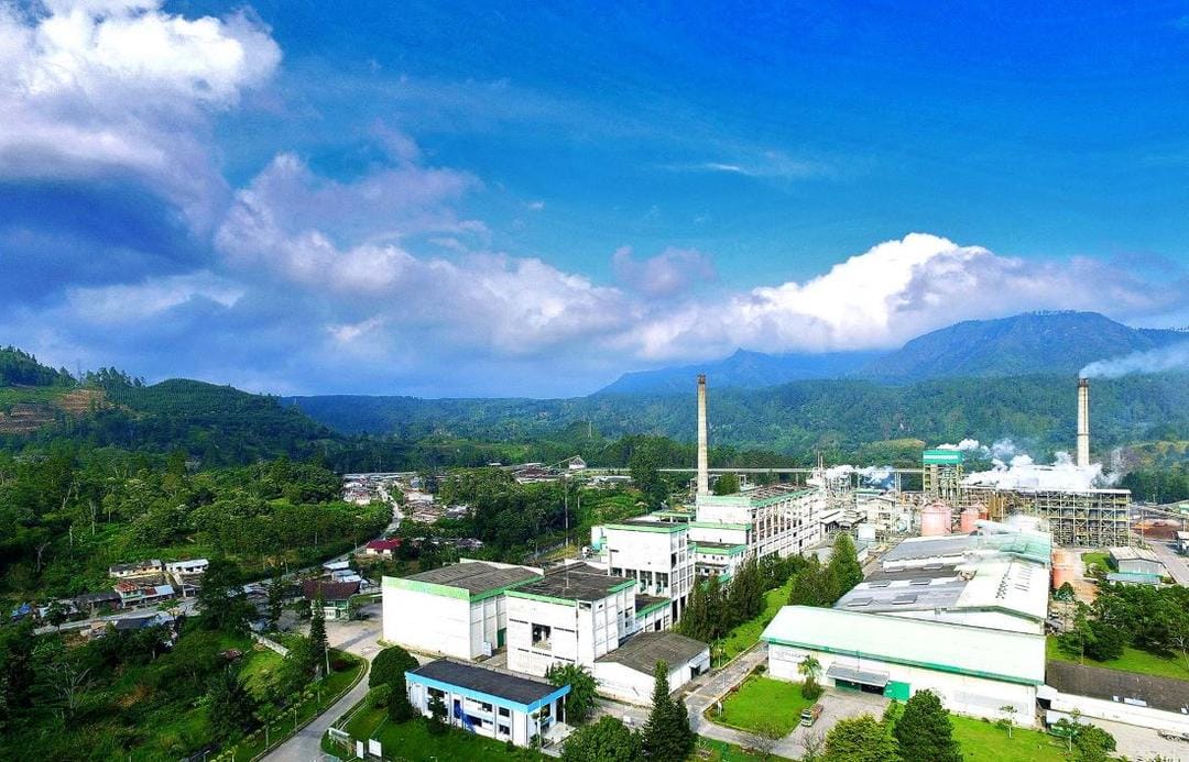 Pabrik Pulp Toba Pulp Setop Produksi 5 Bulan | FORTUNE Indonesia
