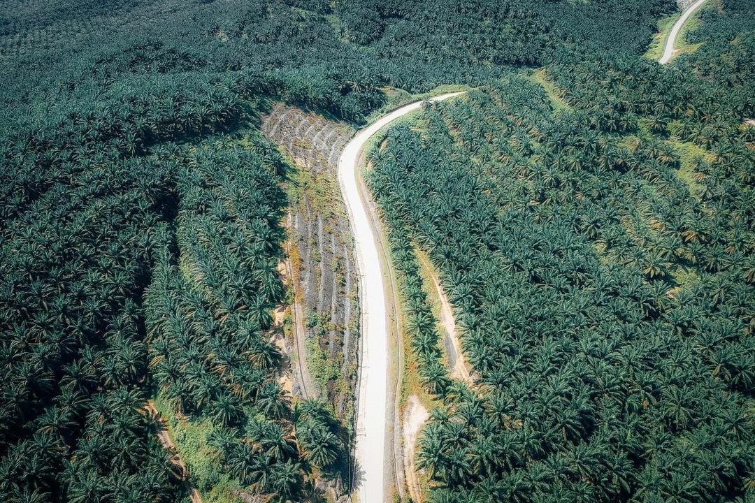 10 Kasus Korupsi Terbesar di Indonesia, Pertamina Masuk? | FORTUNE ...